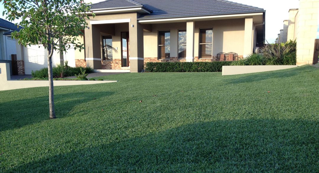The Complete Guide to Lawn Mowing | Cobbitty Turf