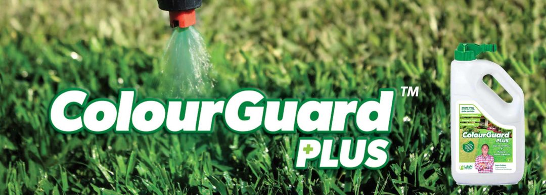 Colourguard – How To Dye Your Brown Lawn Green