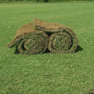 How To Measure And Estimate Turf Quantities