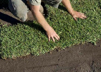 Laying Turf Rolls – How To Do It