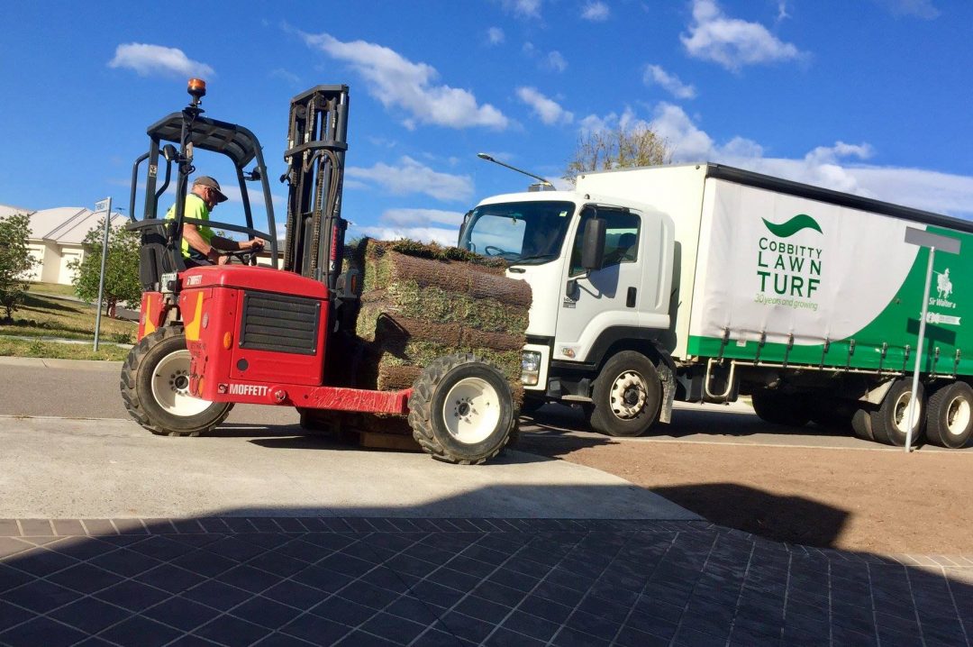 Turf Delivery Sydney - Illawarra, Highlands | Cobbitty Lawn Turf