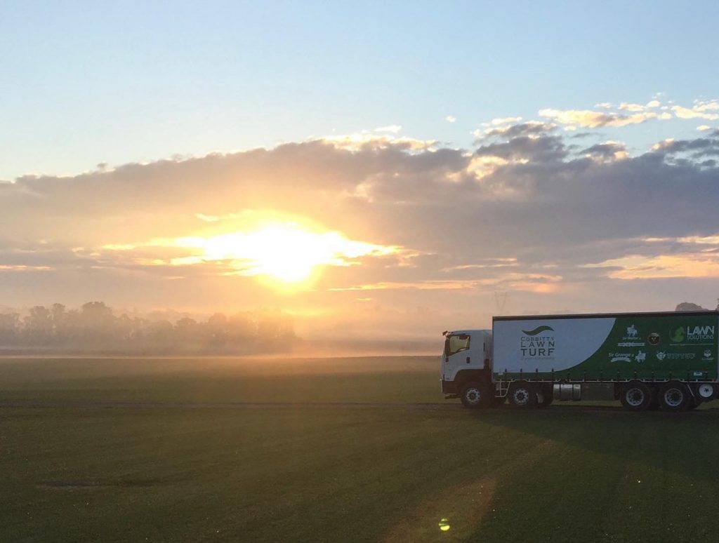 Your Lawn and Value for Money | Cobbitty Lawn Turf