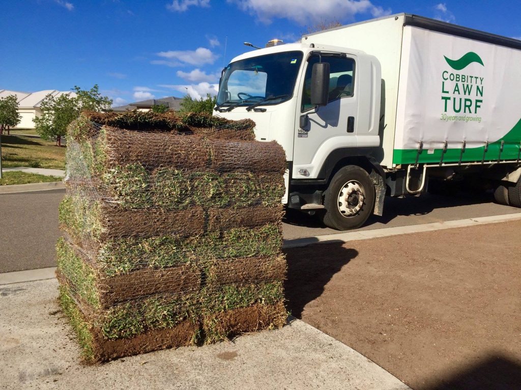 How do you know if your Sir Walter Turf is Certified? | Cobbitty Lawn Turf